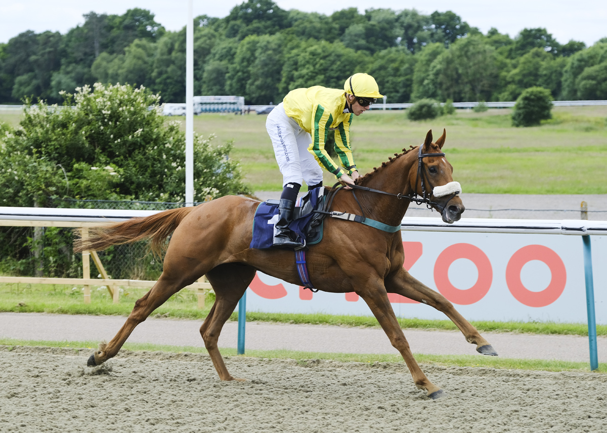 Racing Club - Seamus Mullins