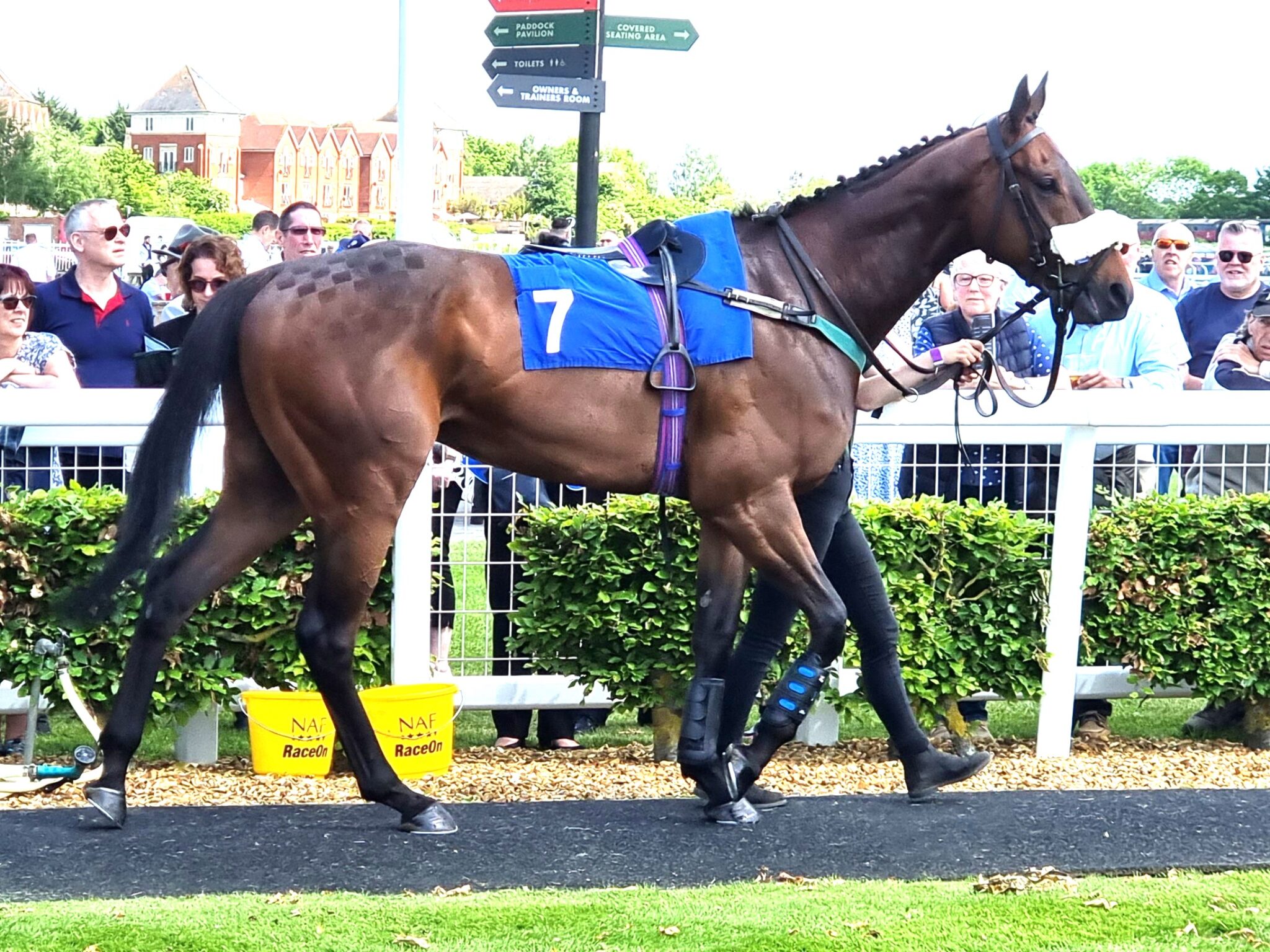 Racing Club - Seamus Mullins